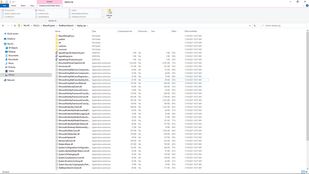[WA] No Server with .NET 5 Deployment - Blazor WebAssembly - Radzen