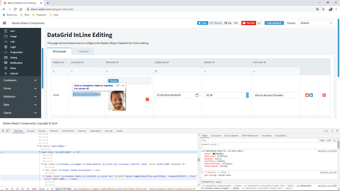 Styling Blazor Grid - Blazor Server - Radzen