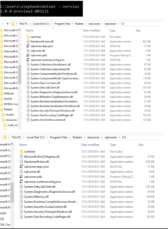 Error creating a new App - Angular - Radzen