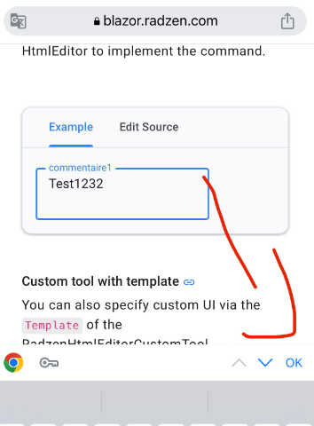 RadzenFormField attribute Text issue - Radzen.Blazor Components - Radzen