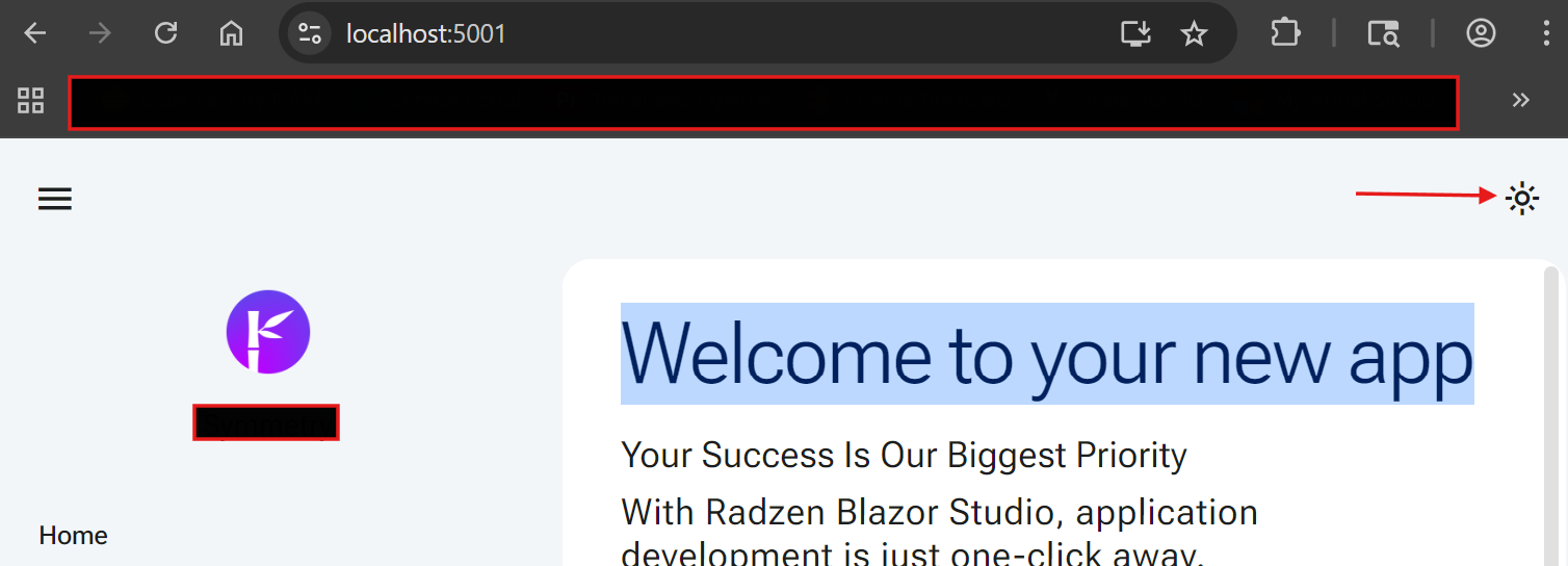 Light/Dark Theme Toggle Not Working - Radzen Blazor Studio - Radzen