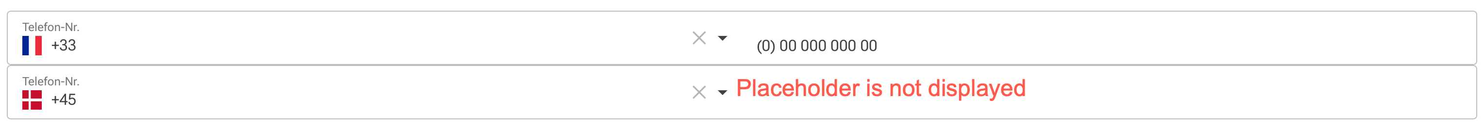 Placeholder of RadzenMask is not displayed inside RadzenFormField ... Placeholder of RadzenMask is not displayed inside RadzenFormField ...
